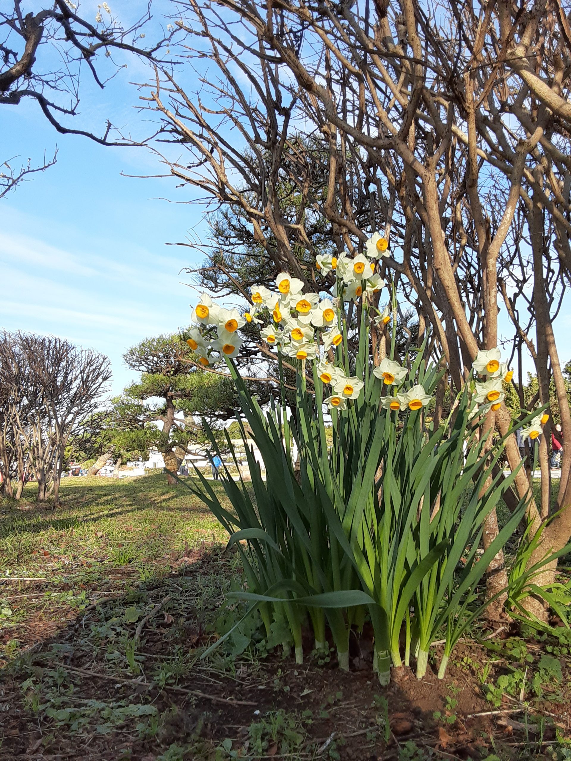 Spring Footsteps | YOTSUI KIMONO DESIGN